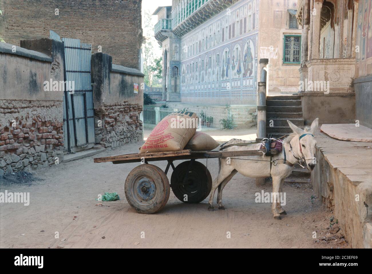 Donkey cart loaded with rice sack Indian town Nawalgargh region ...