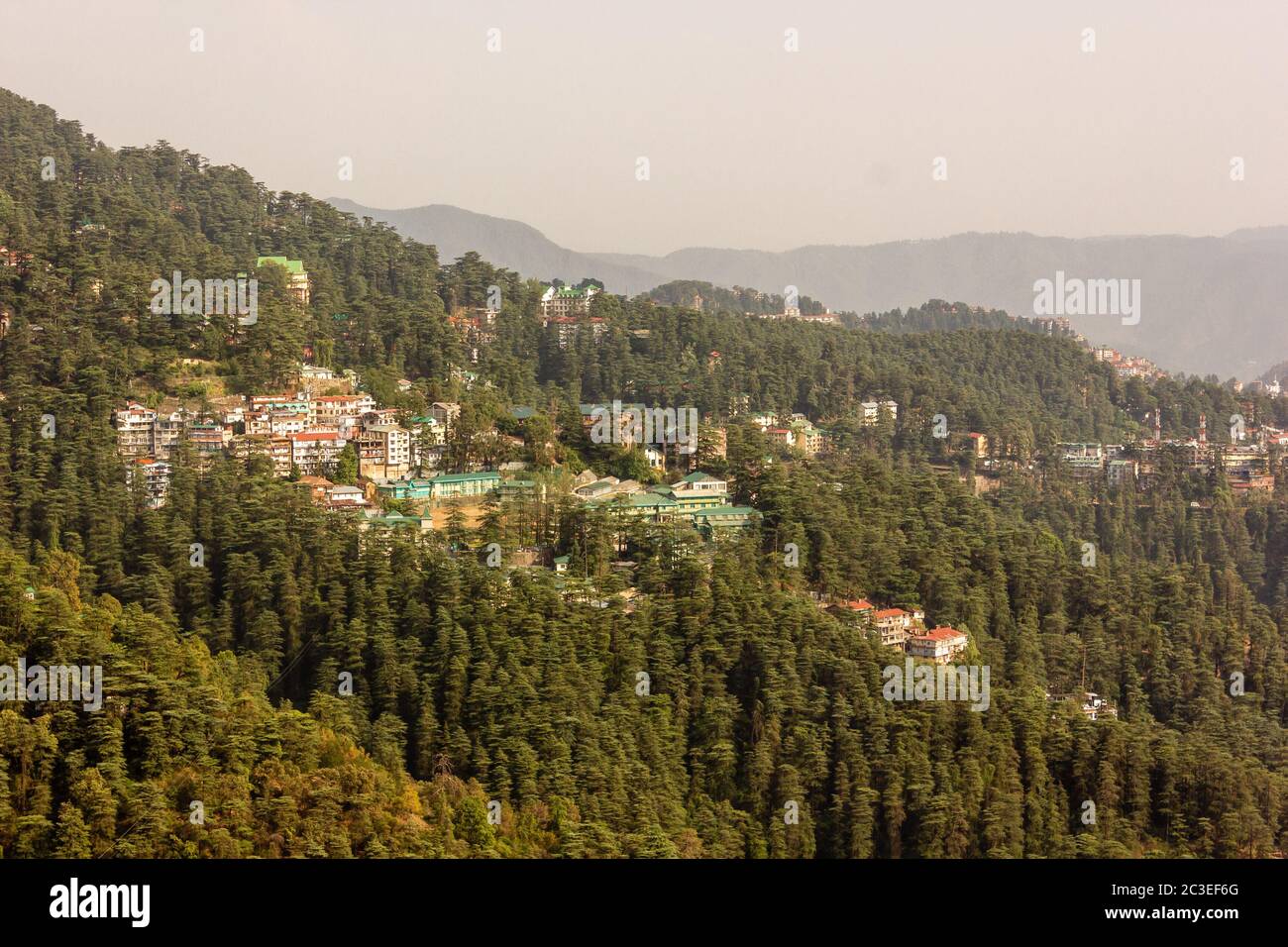 Himalayan forests hi-res stock photography and images - Alamy