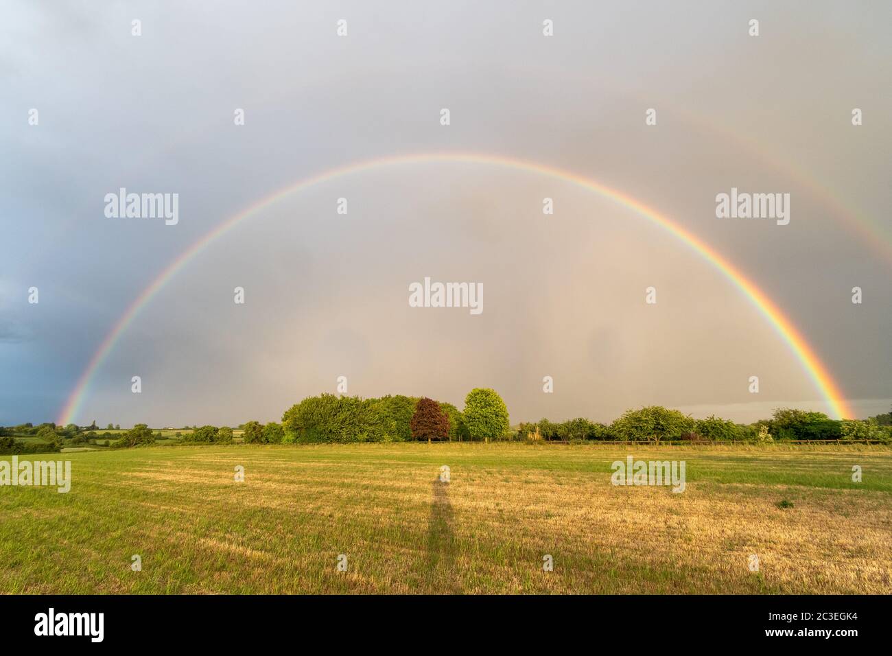 Landscape photo of a rainbow in a field Stock Photo - Alamy