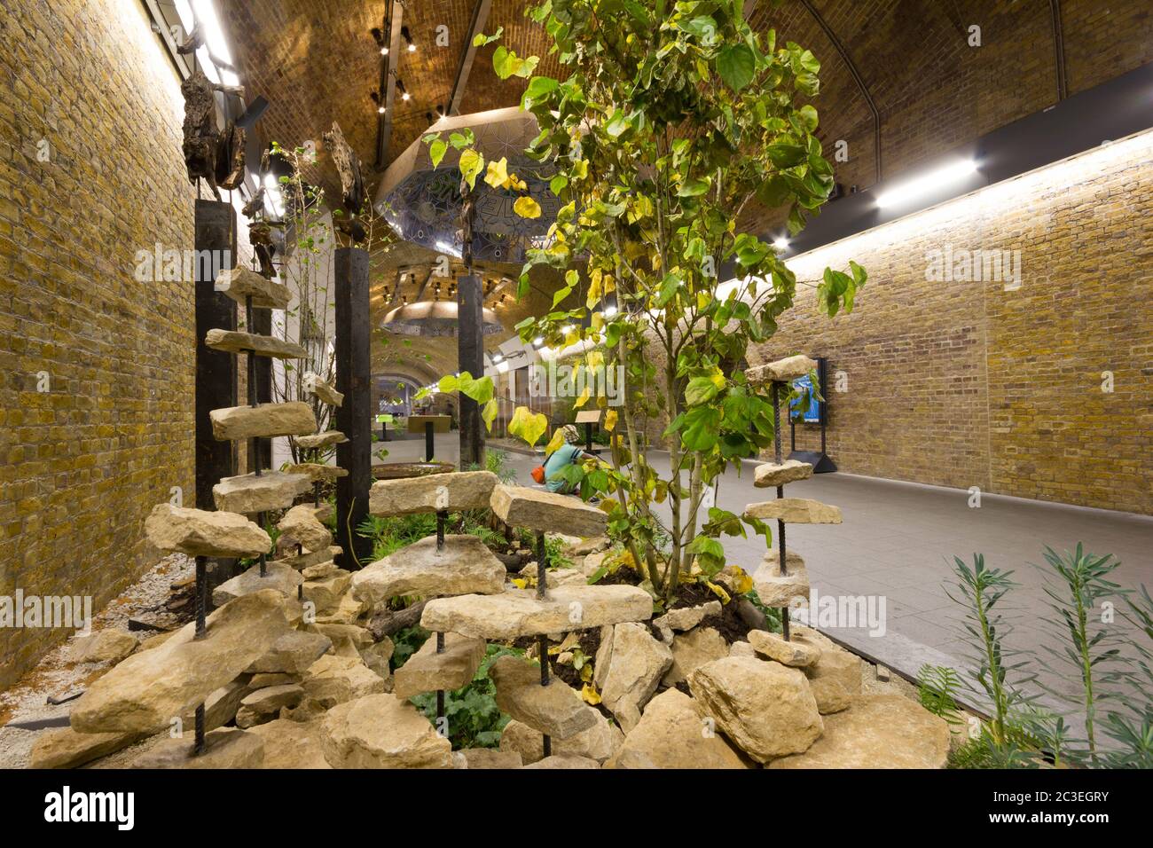 Pop-up garden installed in subway tunnel at London Bridge station, with ...