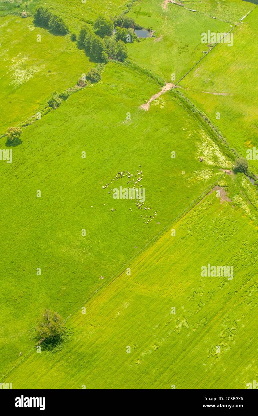 beauty island field in Corsica Stock Photo - Alamy