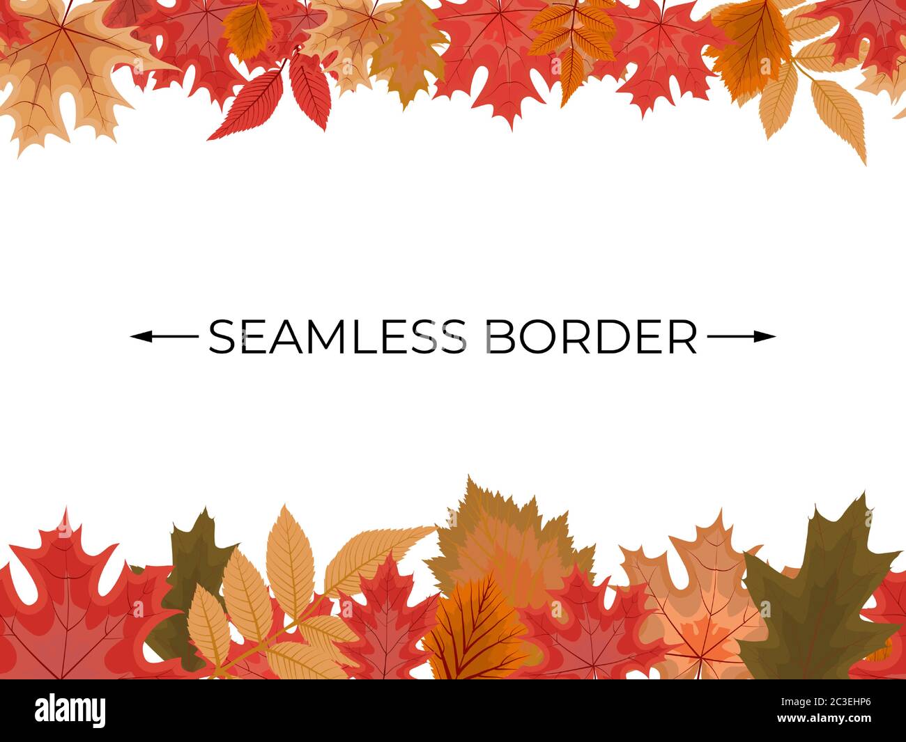 Autumn Seamless Border with Falling Autumn Leaves. Vector Illustration ...