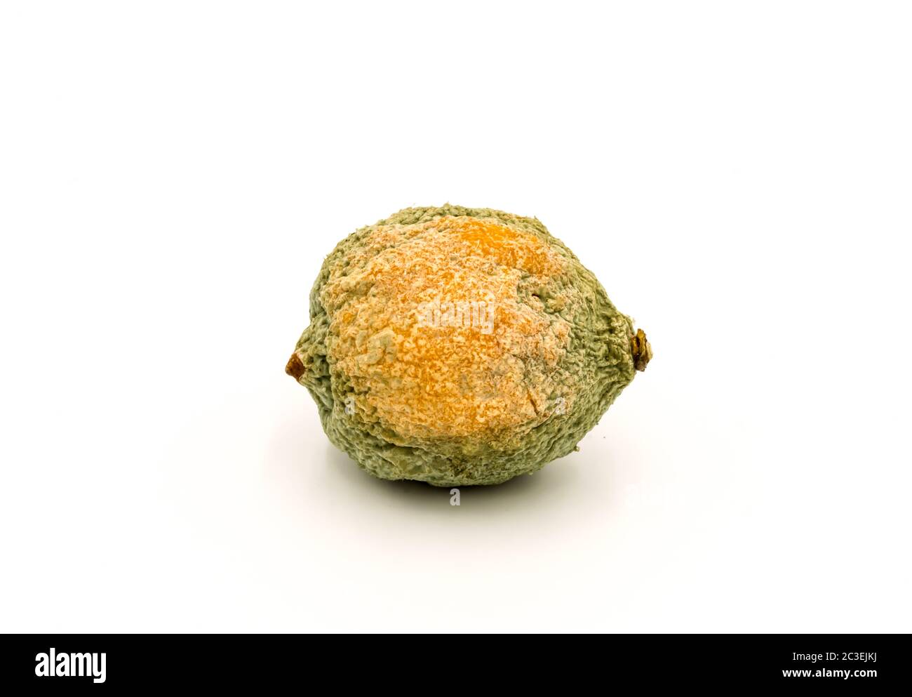 Half rotten Cut Out Stock Images & Pictures - Alamy