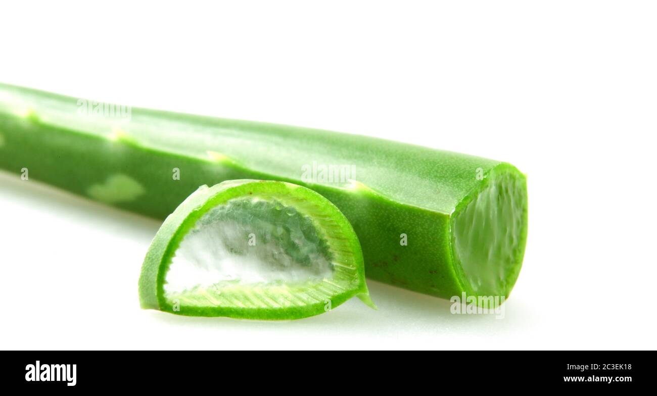 Genus aloe hi-res stock photography and images - Alamy