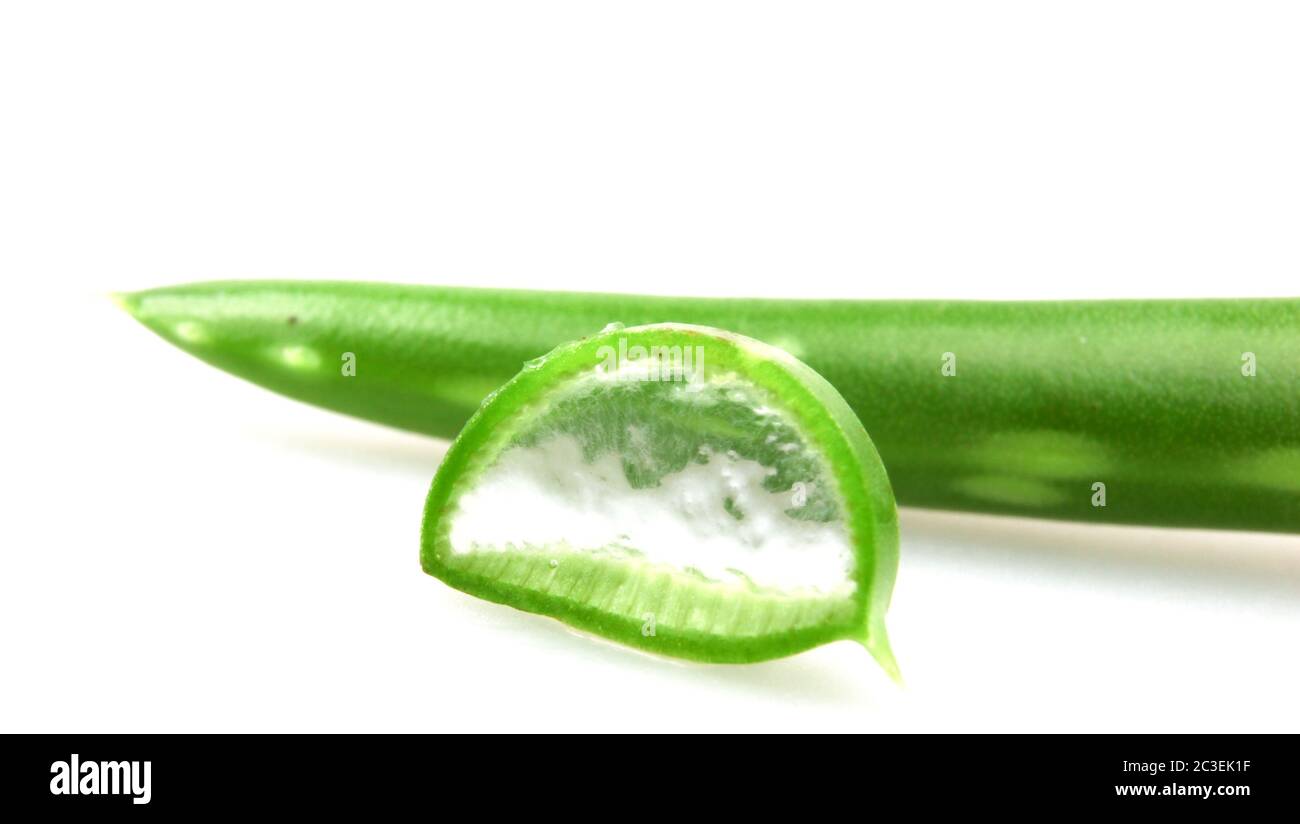 Genus aloe hi-res stock photography and images - Alamy