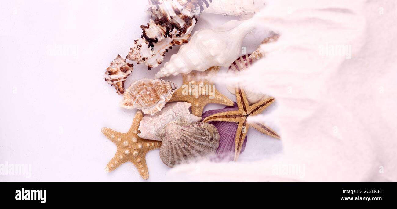 Travel banner seashell and starfish under sand overlay. Top view marine ...
