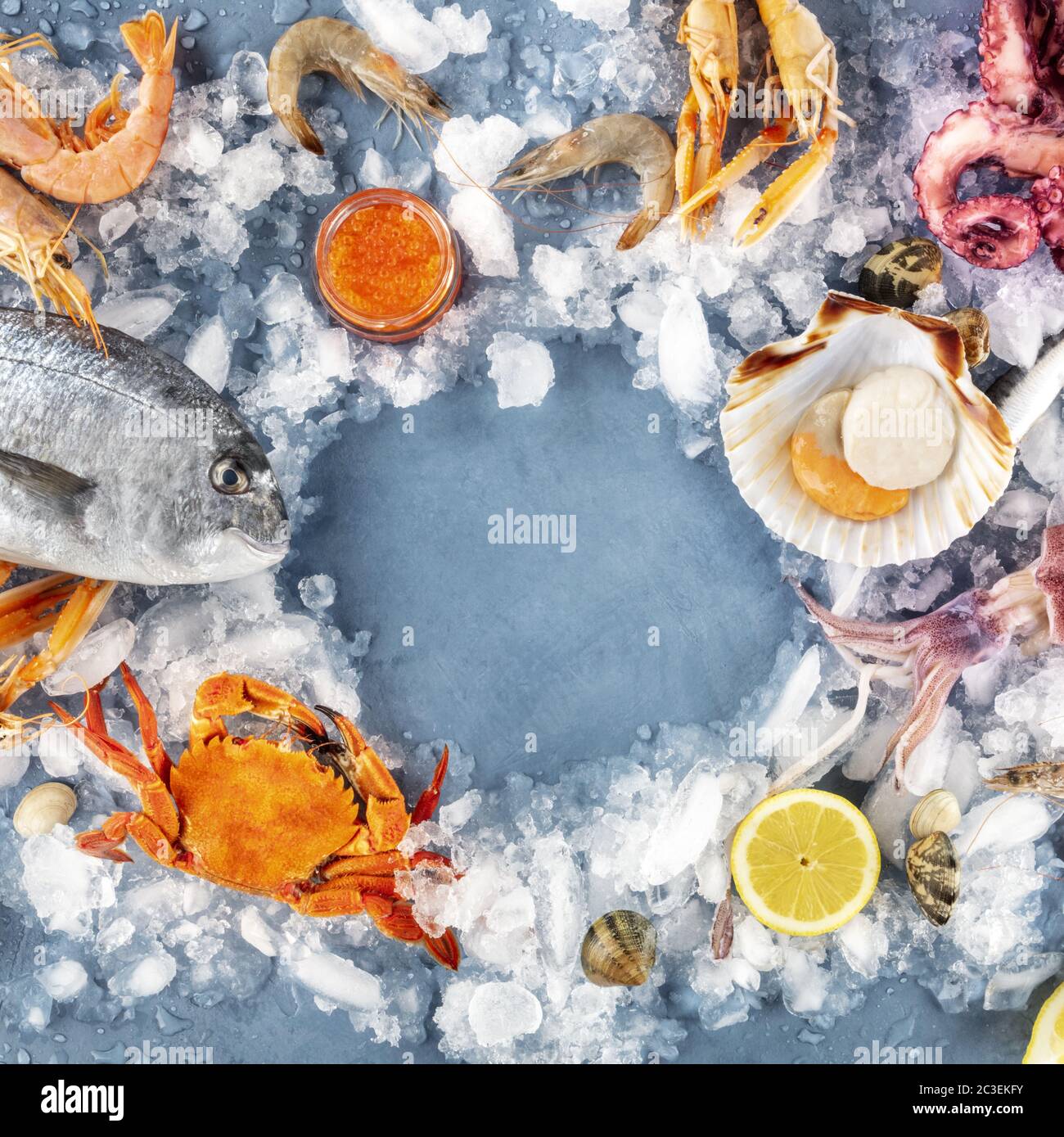 Fish and seafood background with a frame for copy space, a square ...