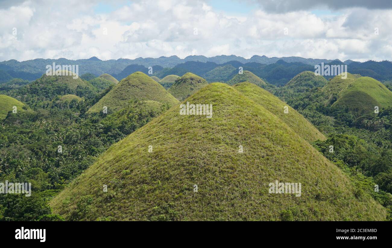 Chocolate Hills green hills in jungle landscape on Bohol Island in the ...