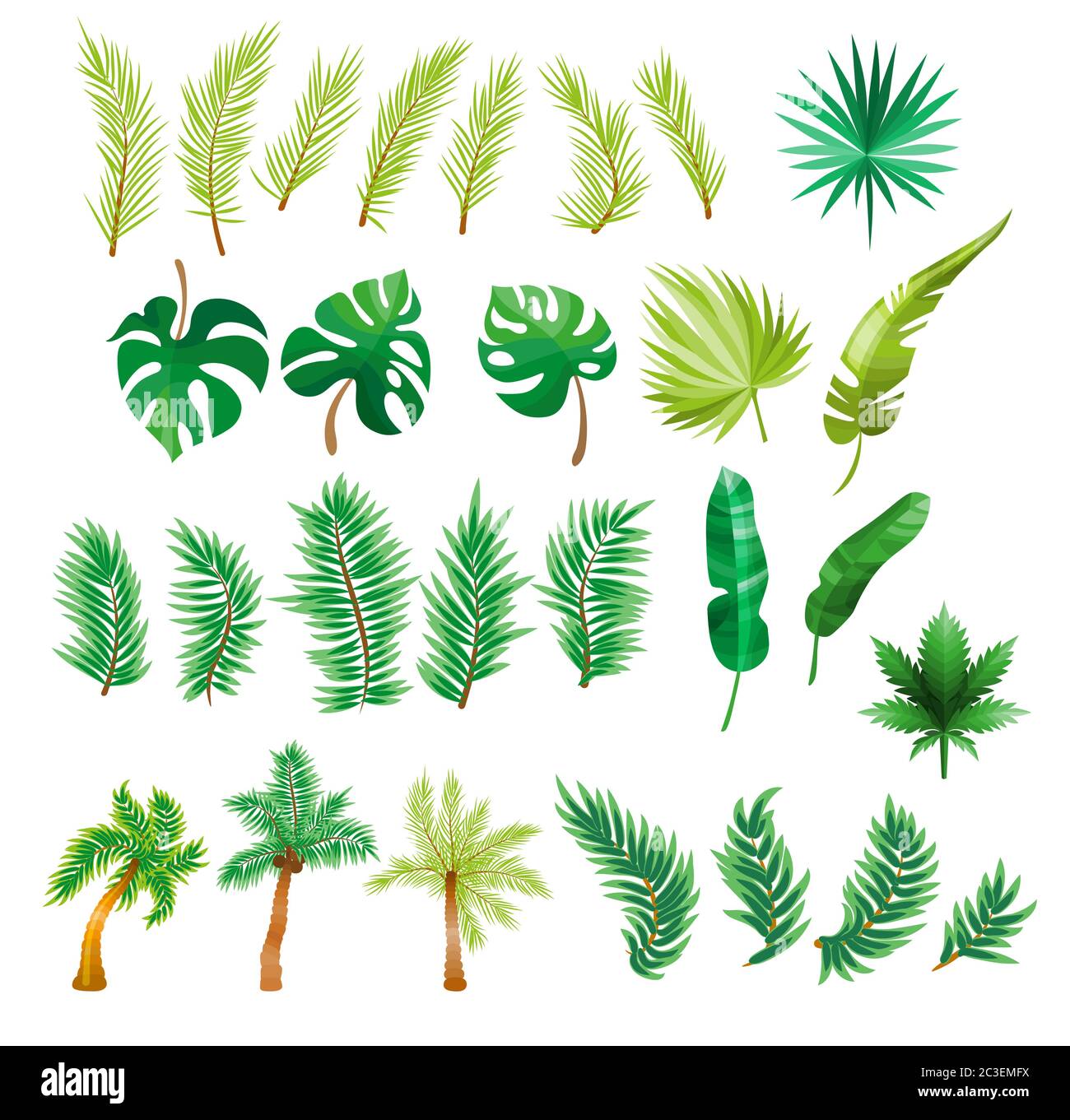 Tropical palm leaves, jungle leaves, split leaf, philodendron leaves ...