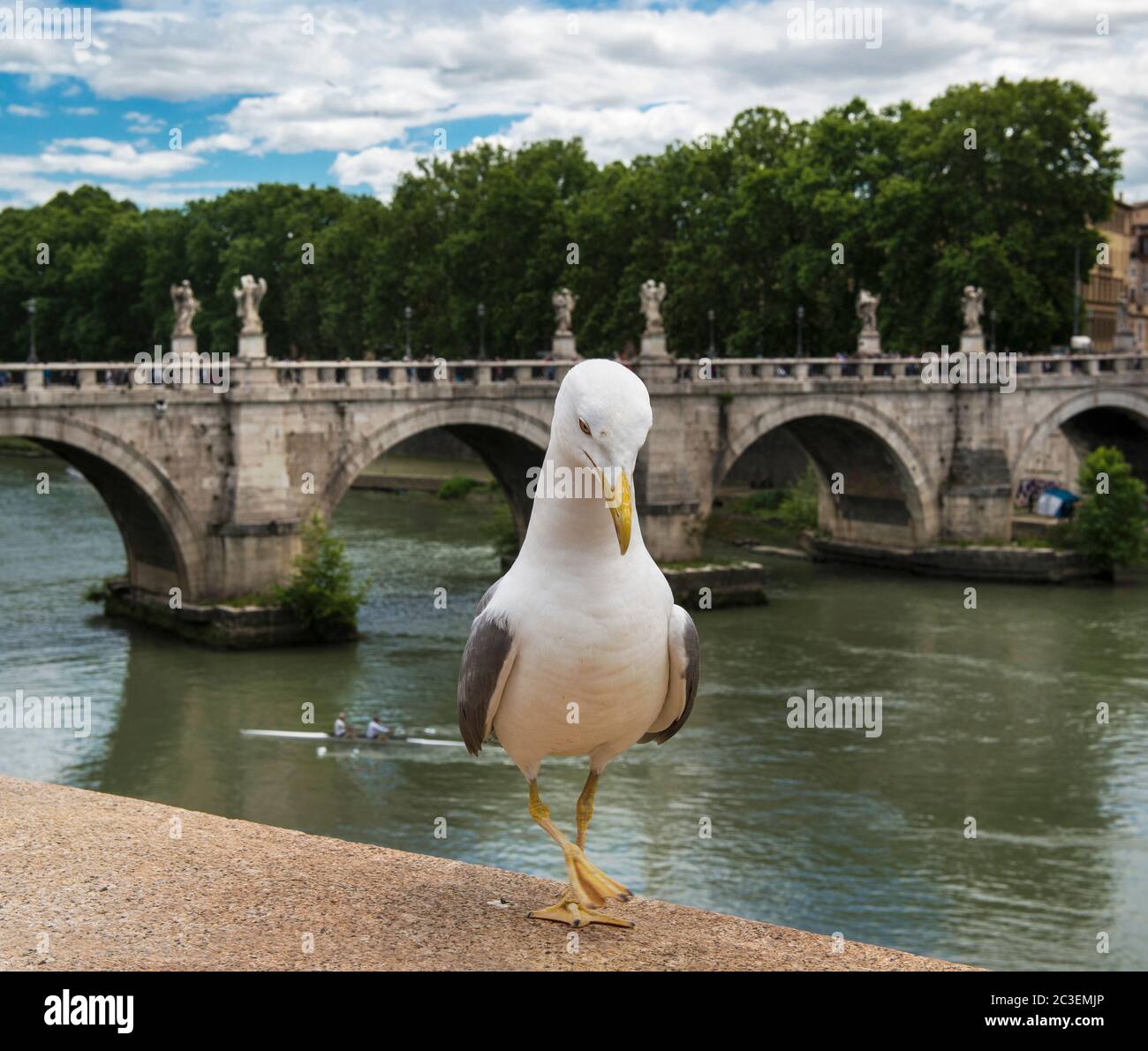 Ponte Sant'Angelo, originally the Aelian Bridge or Pons Aelius, is a ...