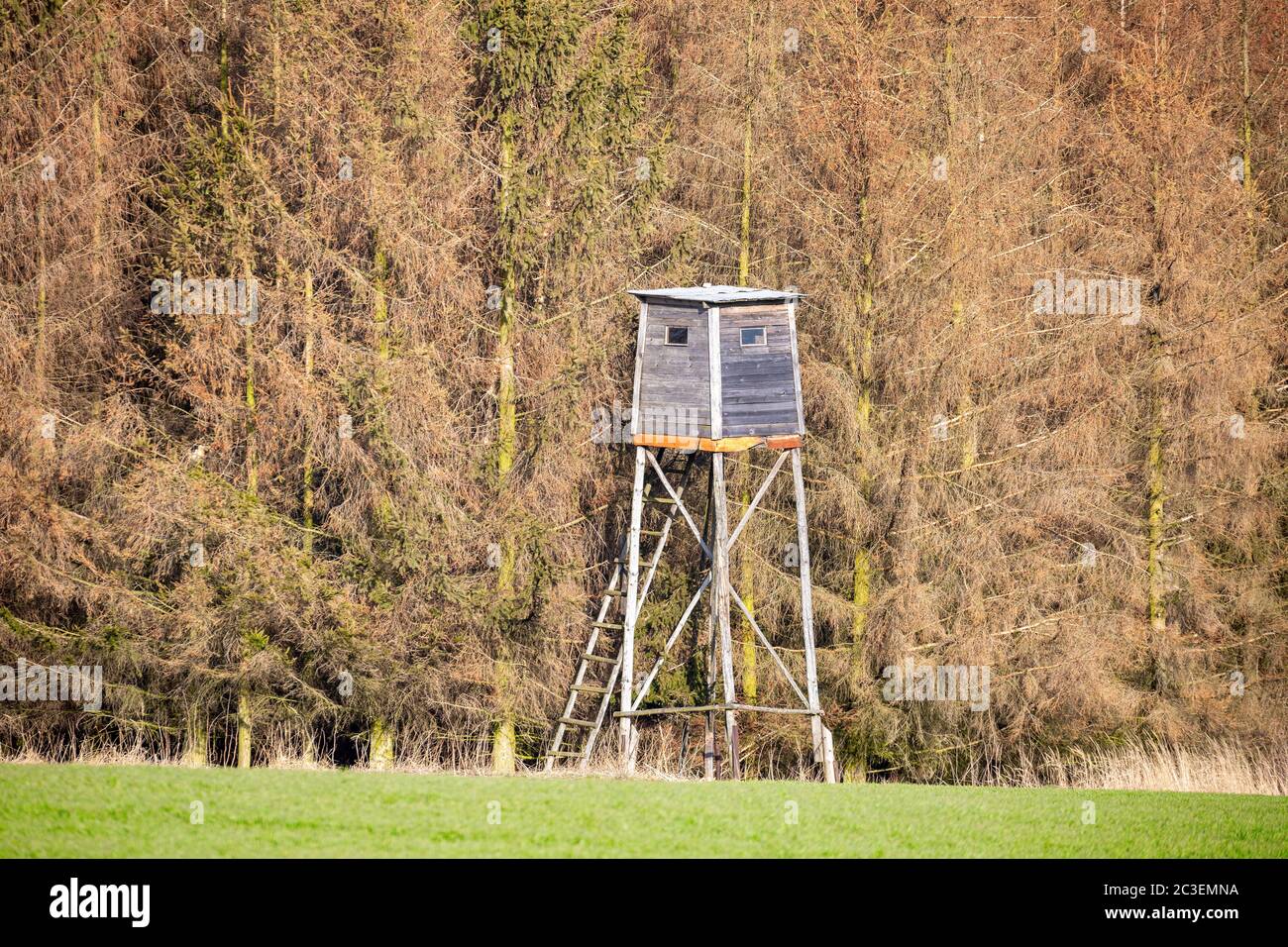 Wooden Hunters High Seat, hunting tower Stock Photo - Alamy