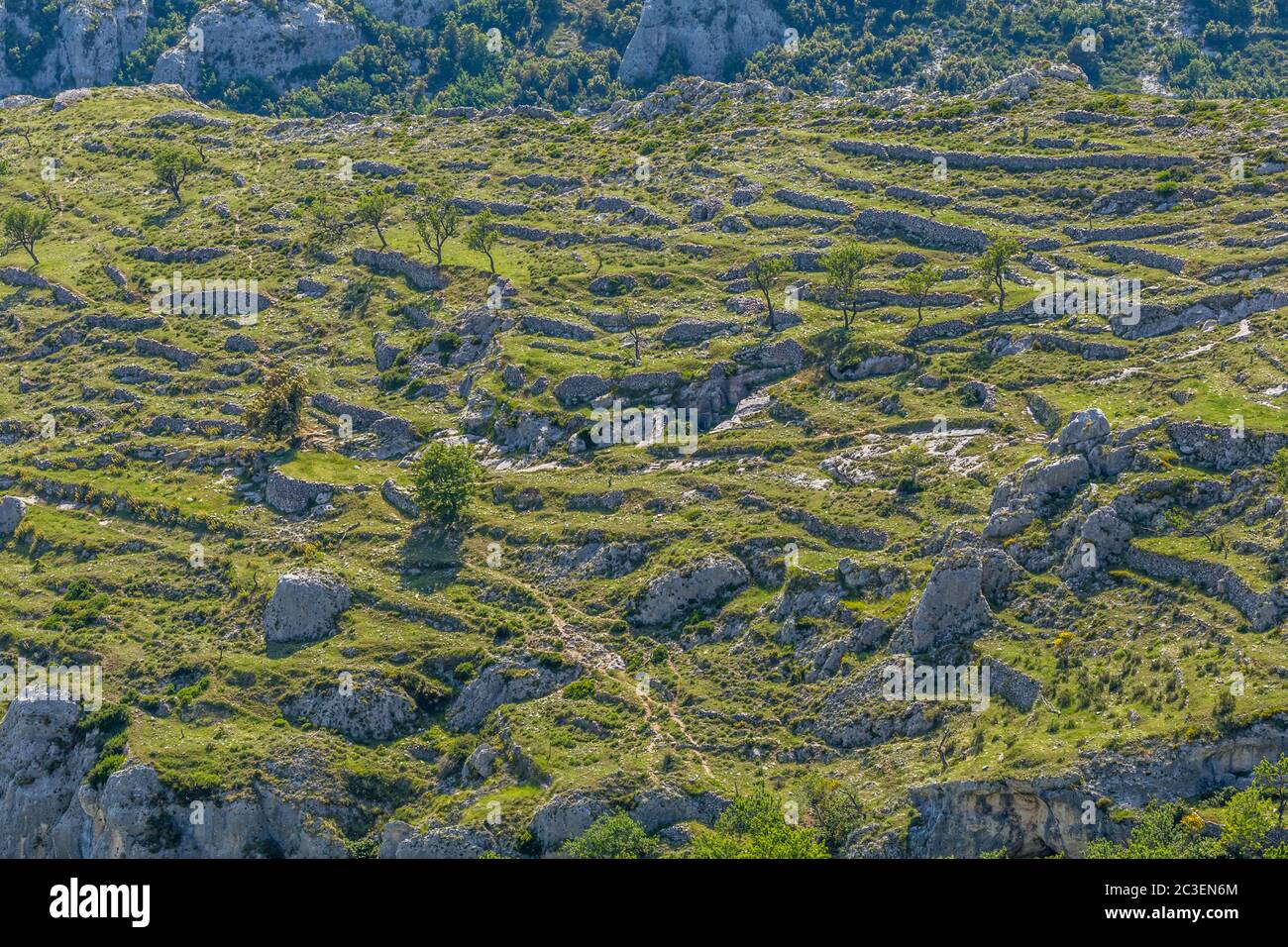 Gargano peninsula hi-res stock photography and images - Alamy