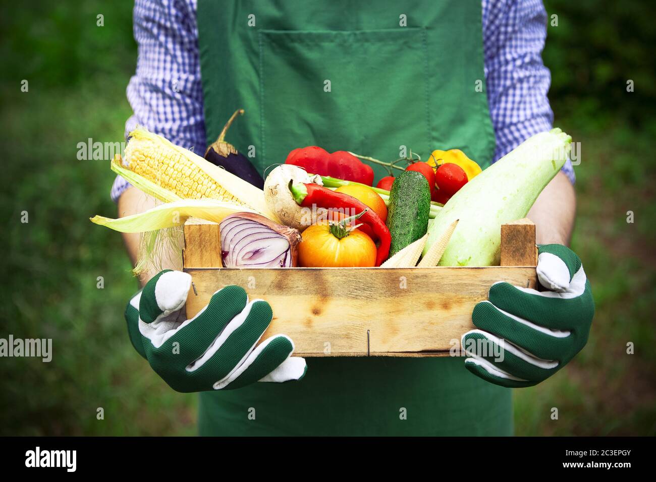 Farmer holding crate with ripe harvest in garden Stock Photo - Alamy