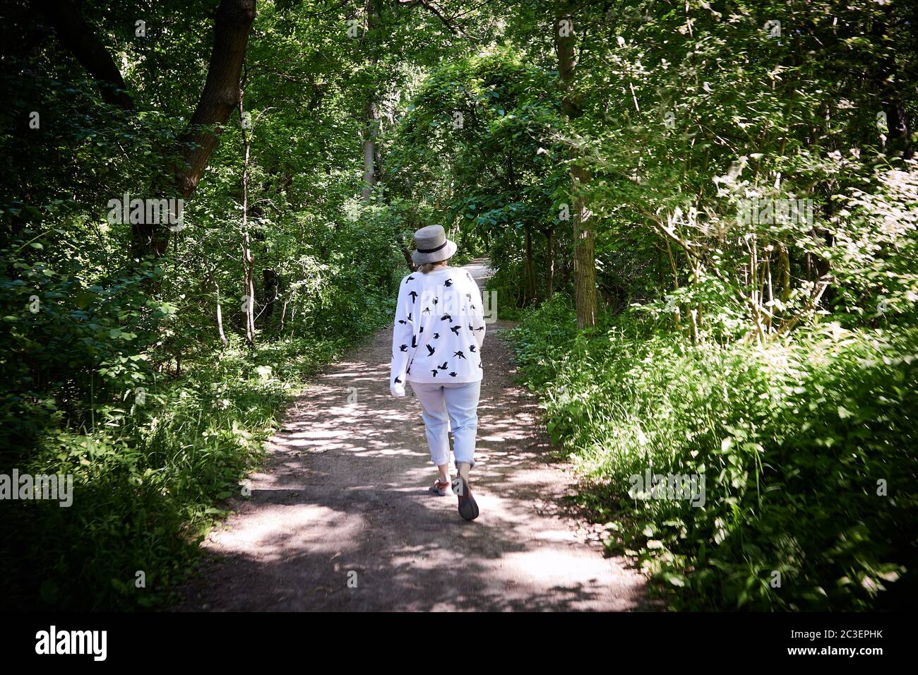Woman walking alone along a pretty woodland pathway on a nice summer ...