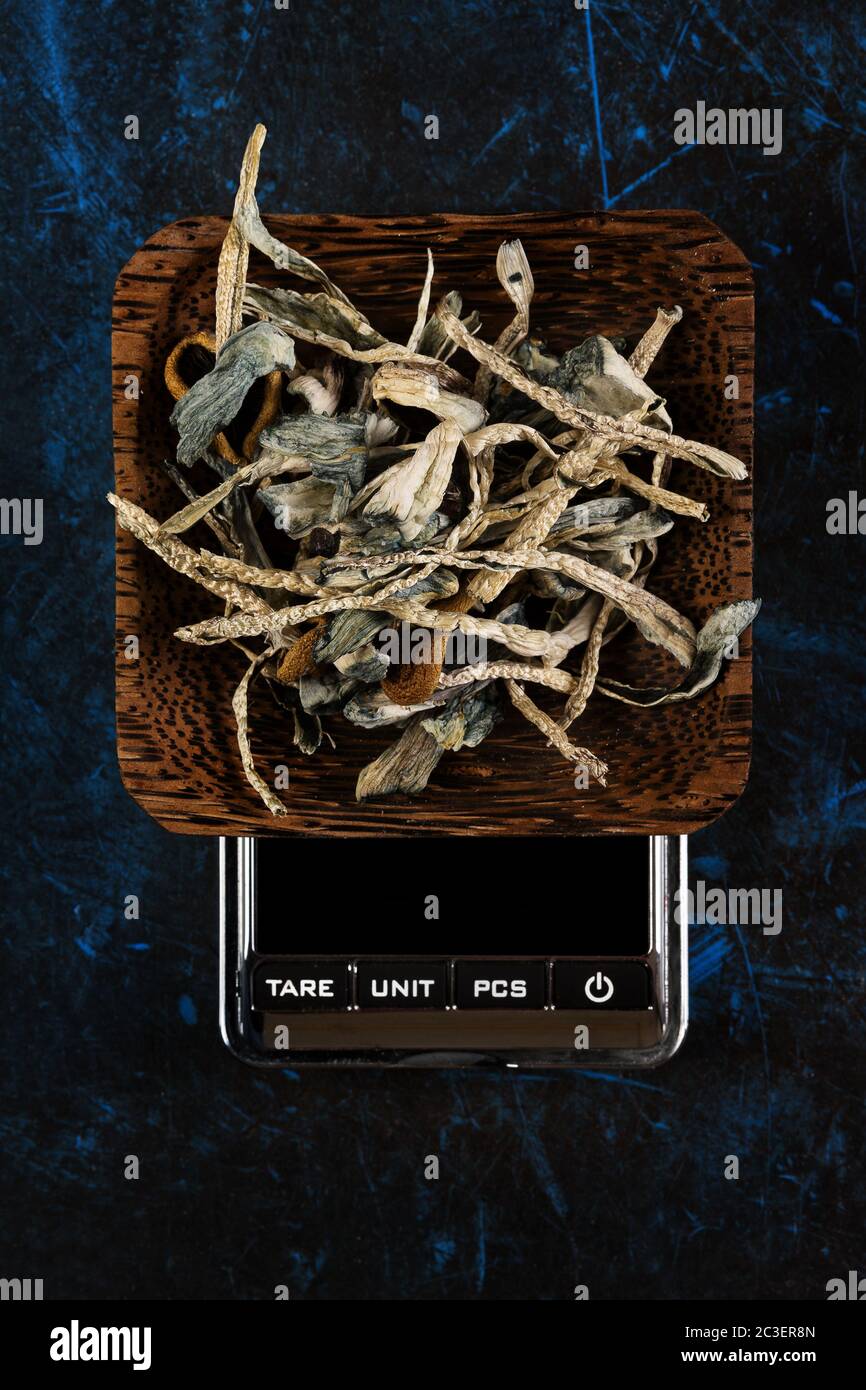 Psycho mushroom hi-res stock photography and images - Alamy