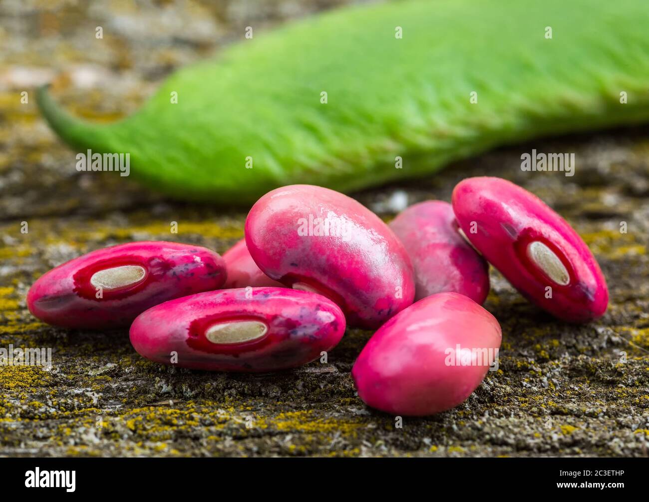 Purple bean pods Stock Photo - Alamy