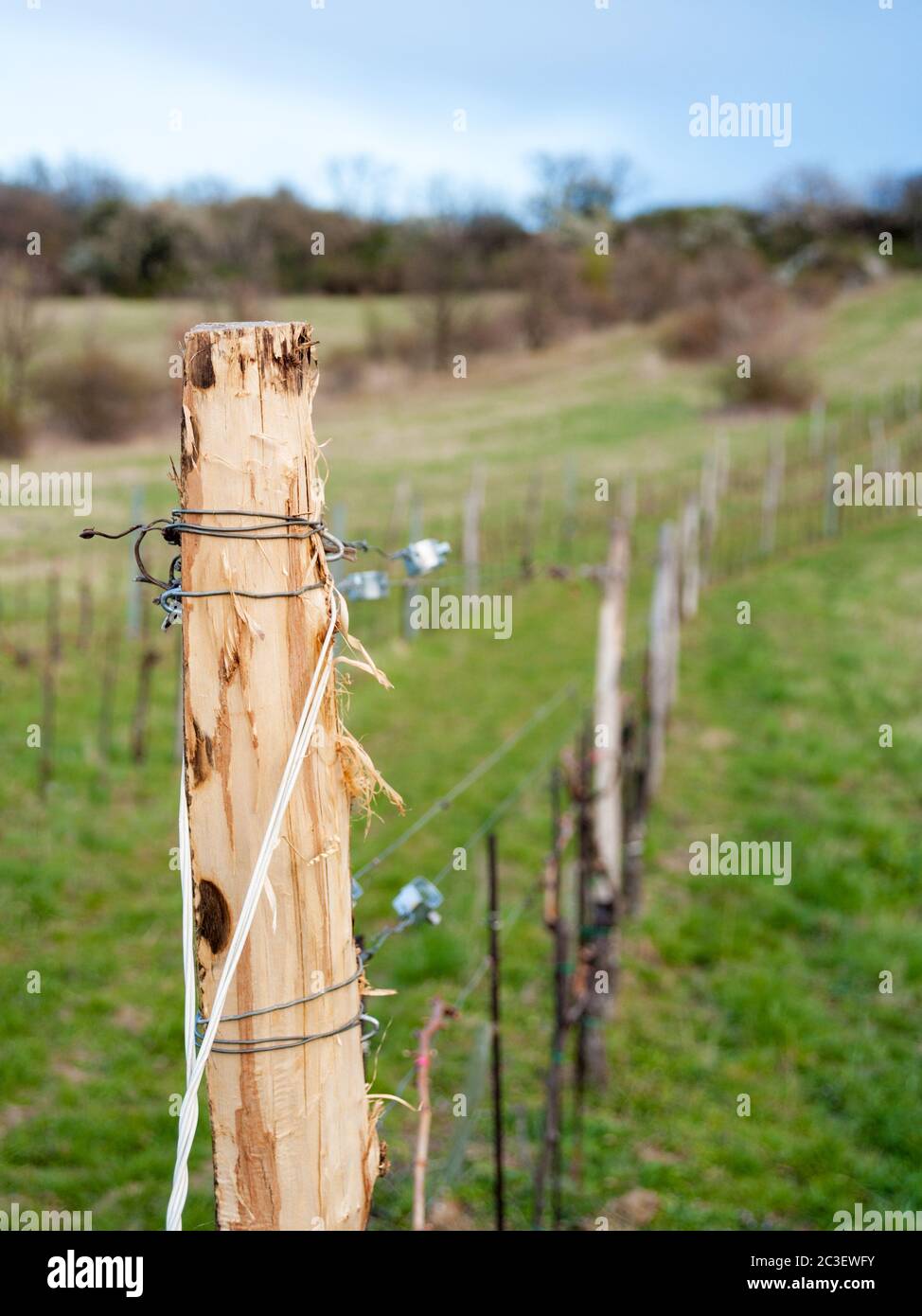 Clamp wire hi-res stock photography and images - Alamy