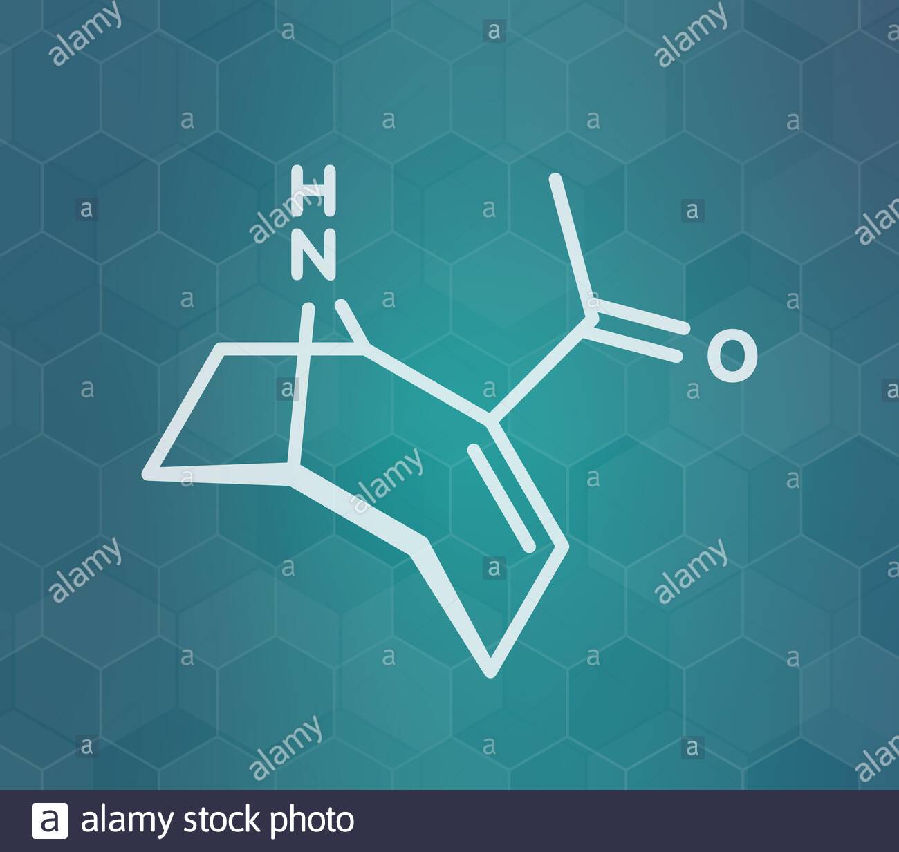 Anabaena High Resolution Stock Photography and Images - Alamy