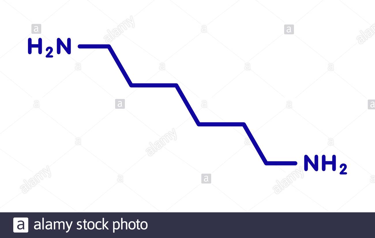 Diamine High Resolution Stock Photography and Images - Alamy