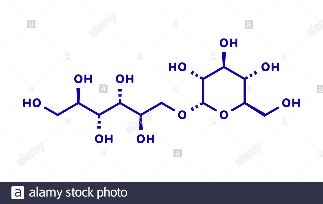 Skeletal Components High Resolution Stock Photography and Images - Alamy