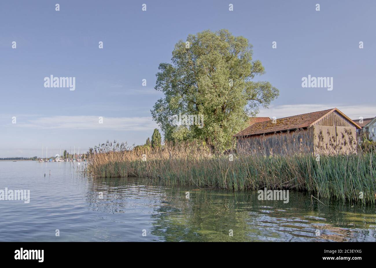 Riparian island Reichenau on Lake Constance Stock Photo - Alamy