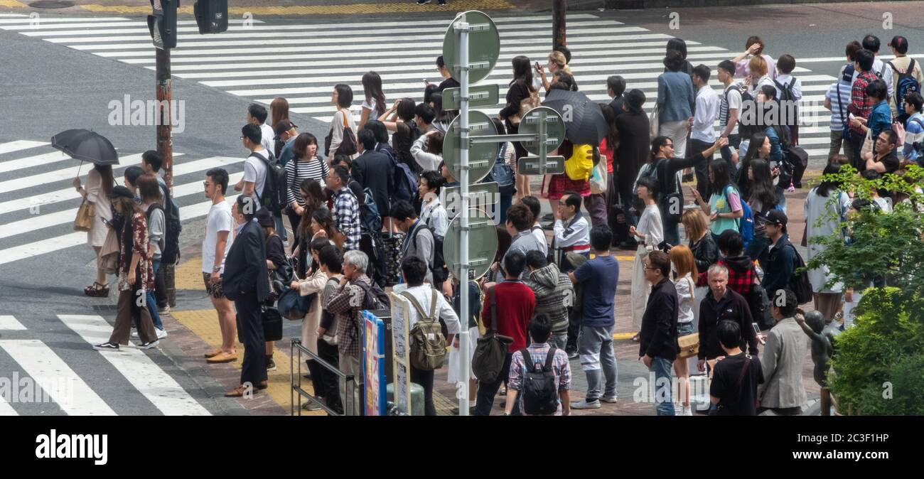 Pedestrian crowd at the famous Shibuya Scramble crossing, Tokyo, Japan ...