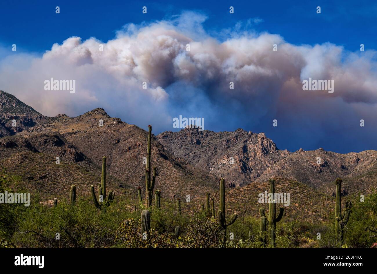 Smoke from the Bighorn Fire, burning in the Santa Catalina Mountains ...