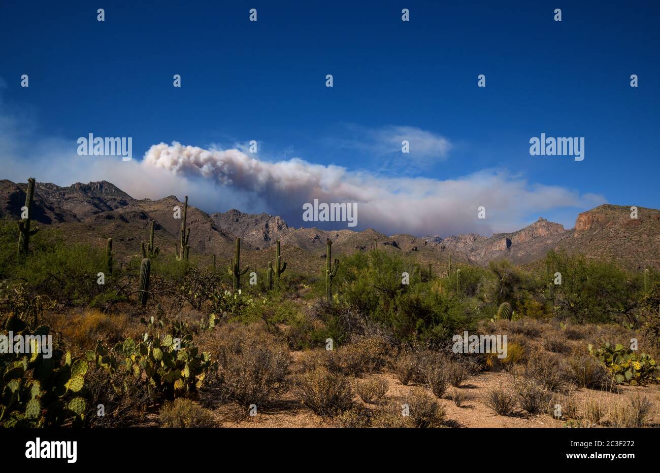 Catalina foothills fire hi-res stock photography and images - Alamy