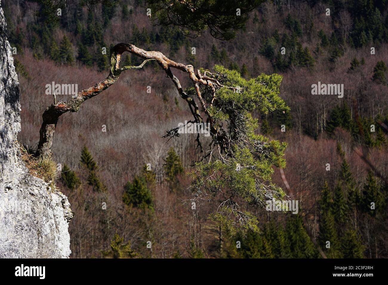 Rock spur hi-res stock photography and images - Alamy