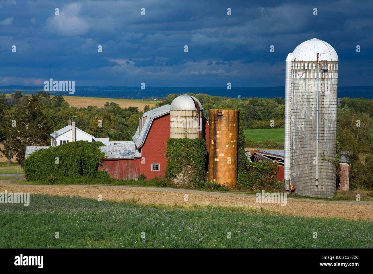 Farm near Leichester, Greater Rochester Area, New York State, USA Stock ...