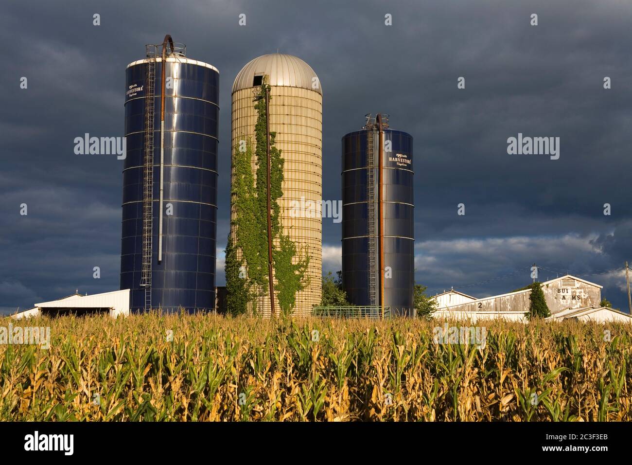 Farm near Lyons, Greater Rochester Area, New York State, USA Stock ...