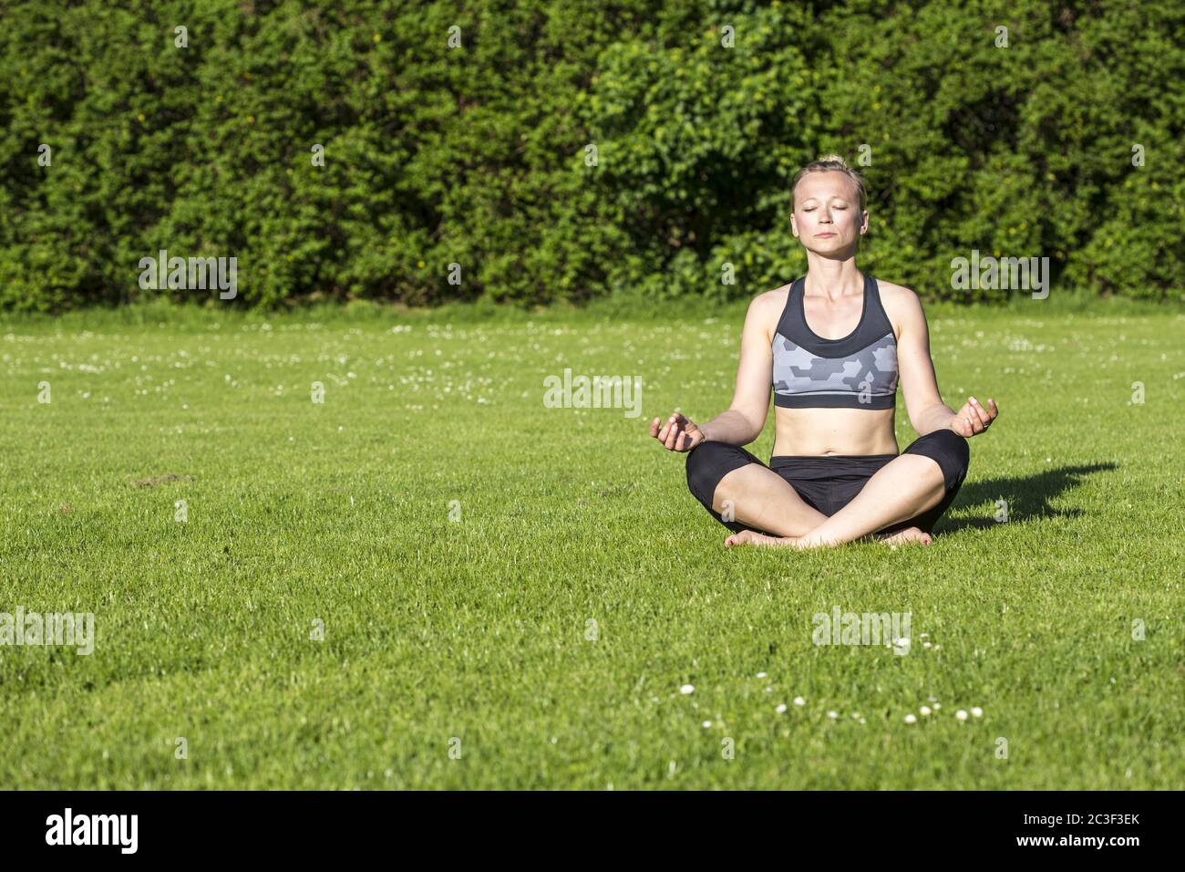 Woman (38) doing yoga on a meadow in the park, Kiel, Schleswig-Holstein ...