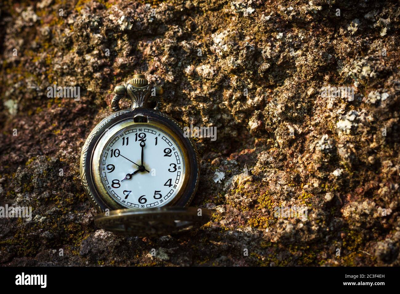 Vintage old pocket watch placed on the rock in forest and morning ...