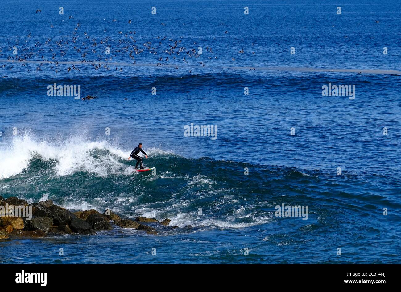 Surfing Near Rocks at Ida Wheeler blog