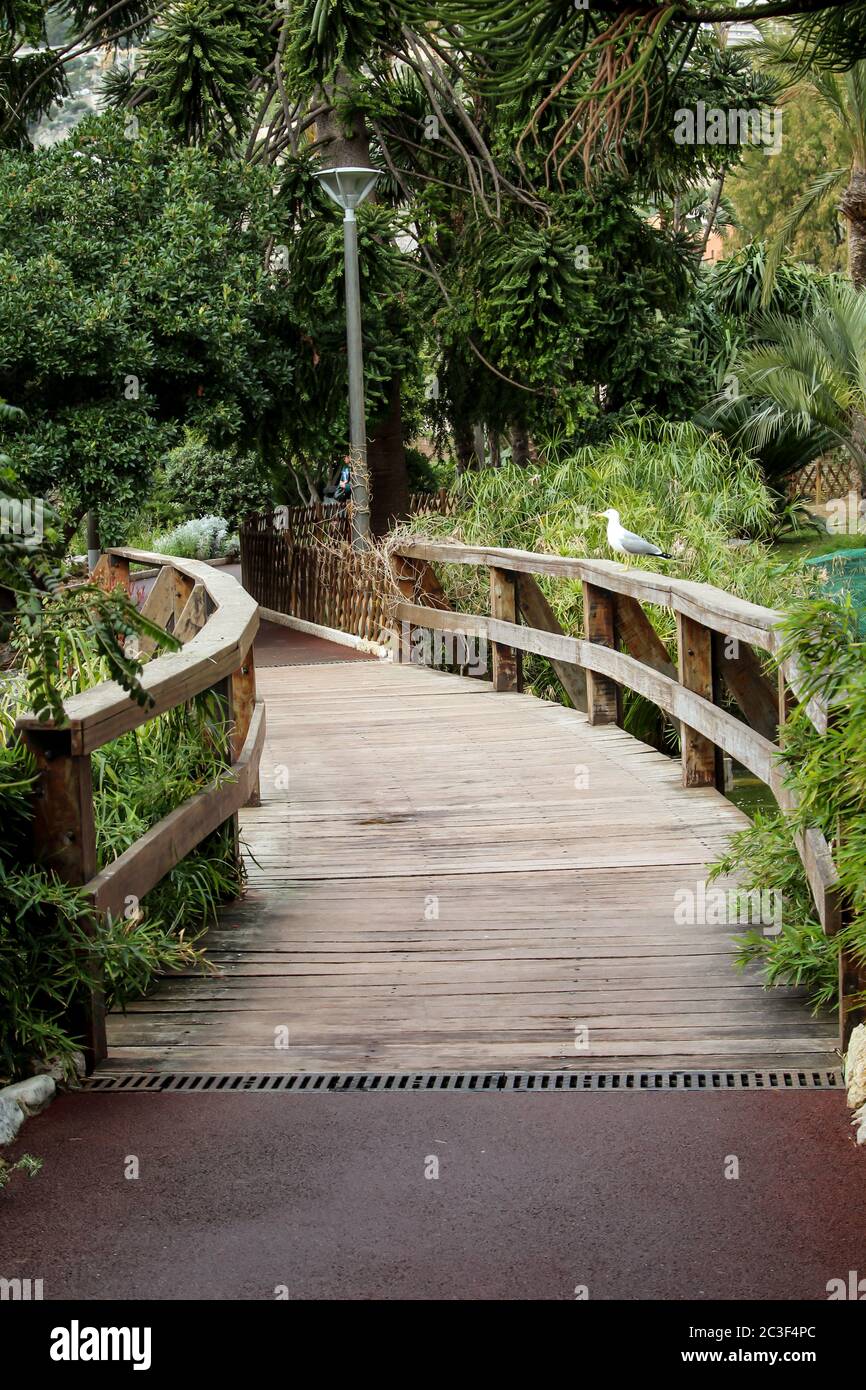 The path night city bridge way hi-res stock photography and images - Alamy