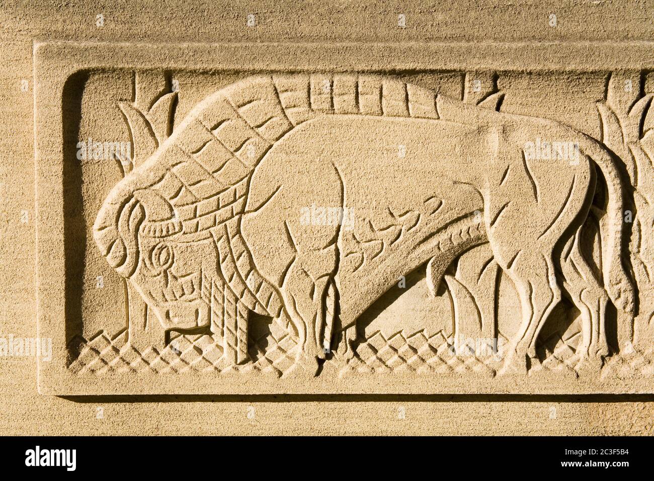 Detail of Courthouse, Buffalo City, New York State, USA Stock Photo - Alamy