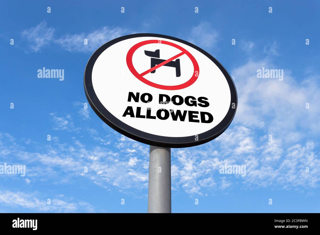 No dogs allowed sign Stock Photo - Alamy