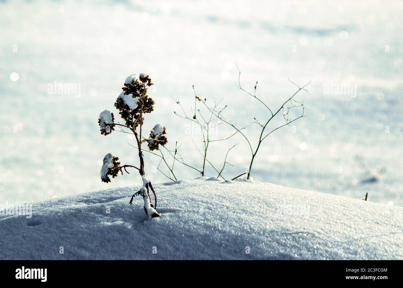 Snowdrift wave hi-res stock photography and images - Alamy