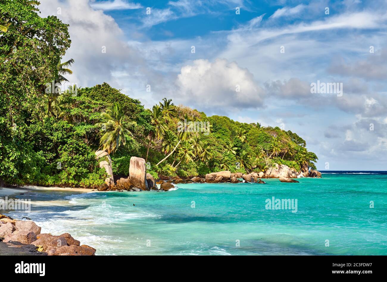 Beach with palm tree and rocks landscape Stock Photo - Alamy