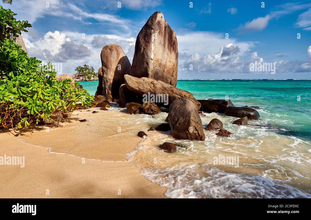 Beach with palm tree and rocks landscape Stock Photo - Alamy