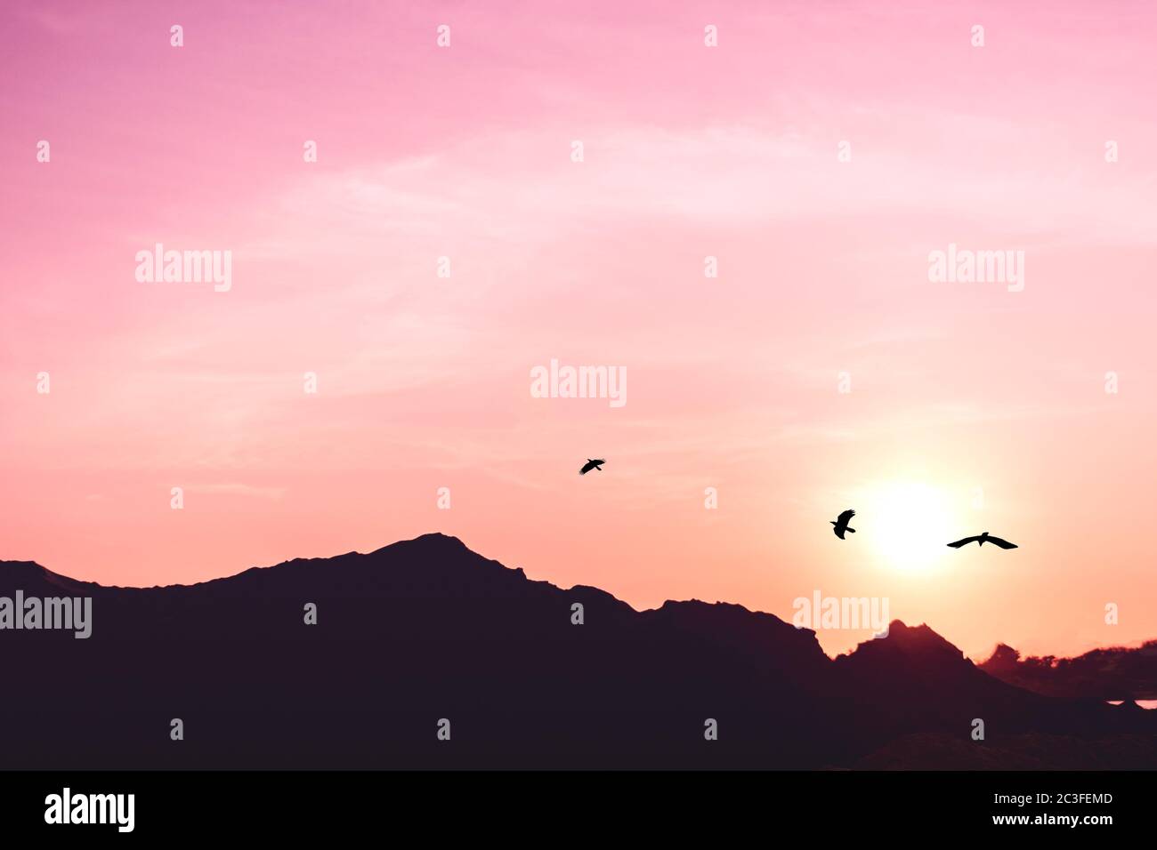 Mountain scenery view landscape with twilight sky beautiful magenta color tone theme sunset and ...