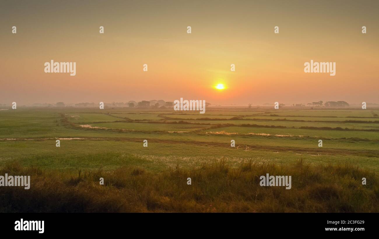 Sunrise over the rice field. Myanmar. Burma Stock Photo - Alamy