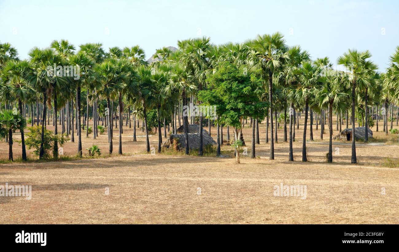 Country house in Myanmar. Burma Stock Photo - Alamy