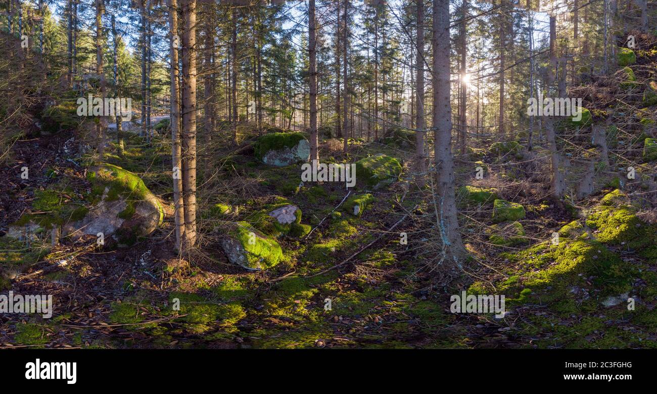 Shadows cast by sun hi-res stock photography and images - Alamy