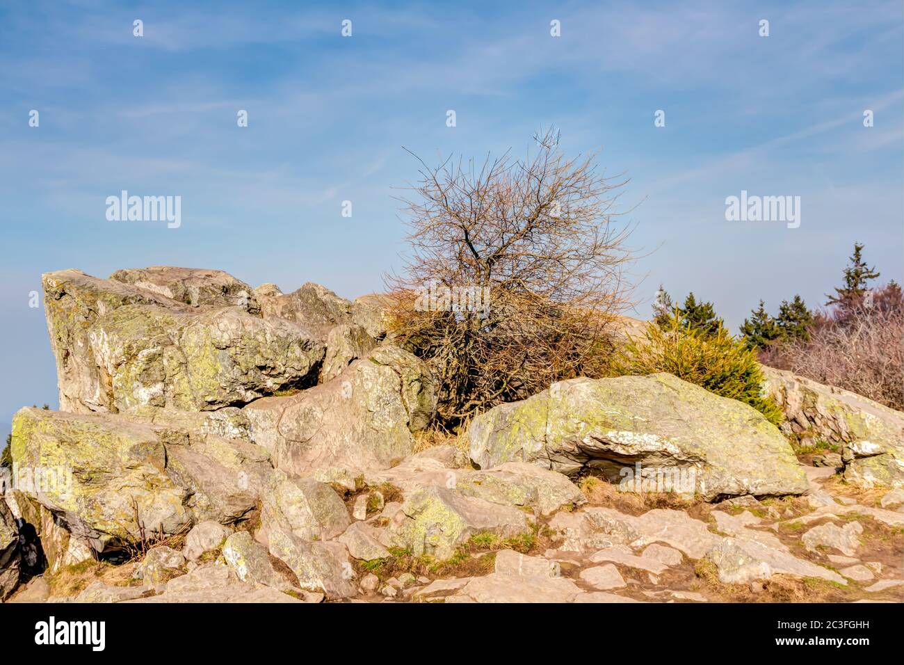 Taunus quartzite on the Great Feldberg in Hesse Stock Photo - Alamy