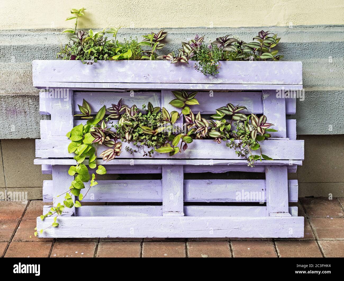 Flowers on a painted wooden bottom that stands against the wall of the ...