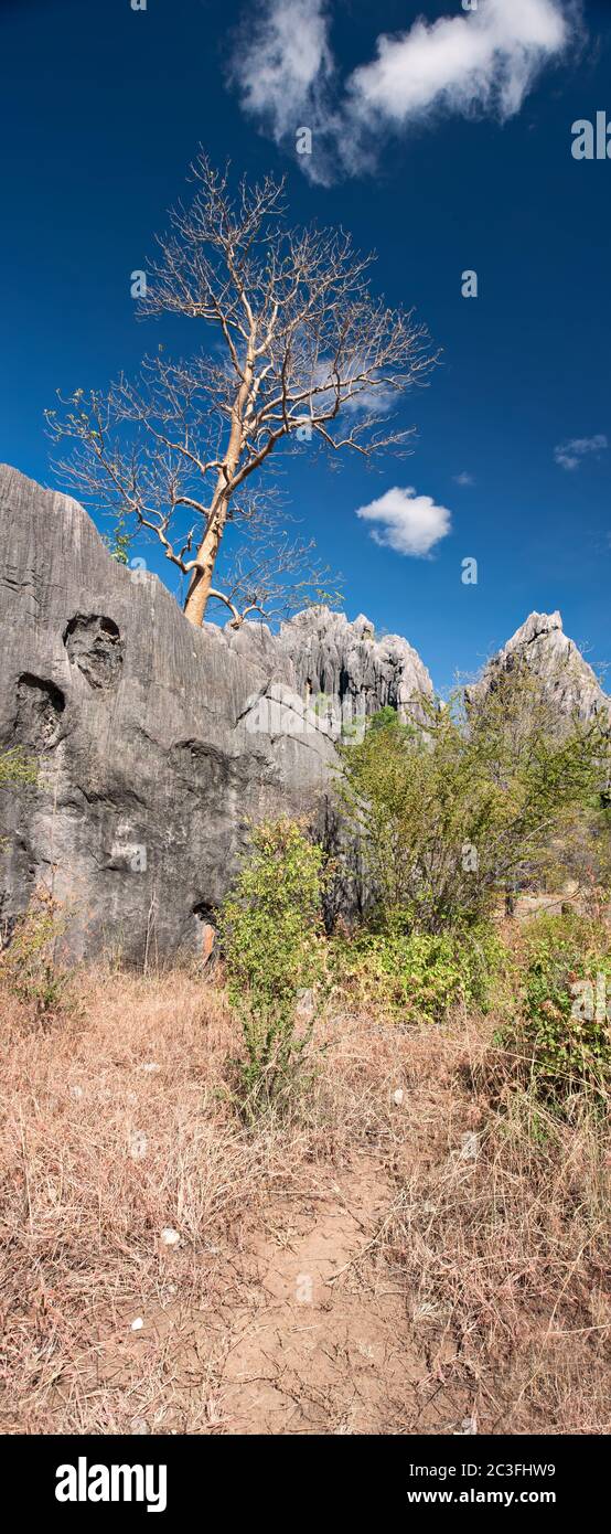 Arid and semi arid australia hi-res stock photography and images - Alamy
