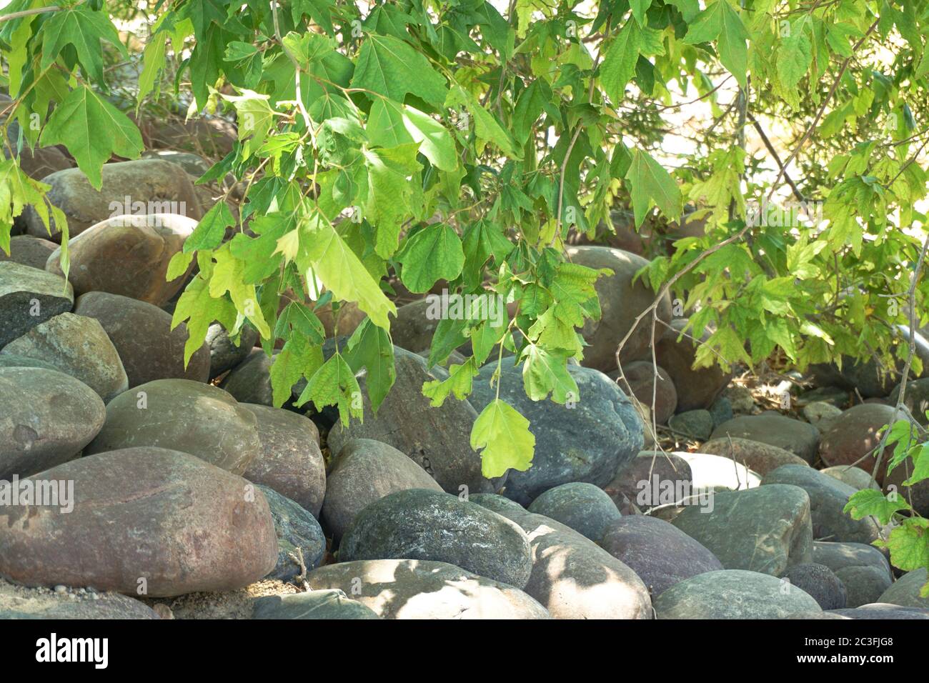 Large river bed hi-res stock photography and images - Alamy