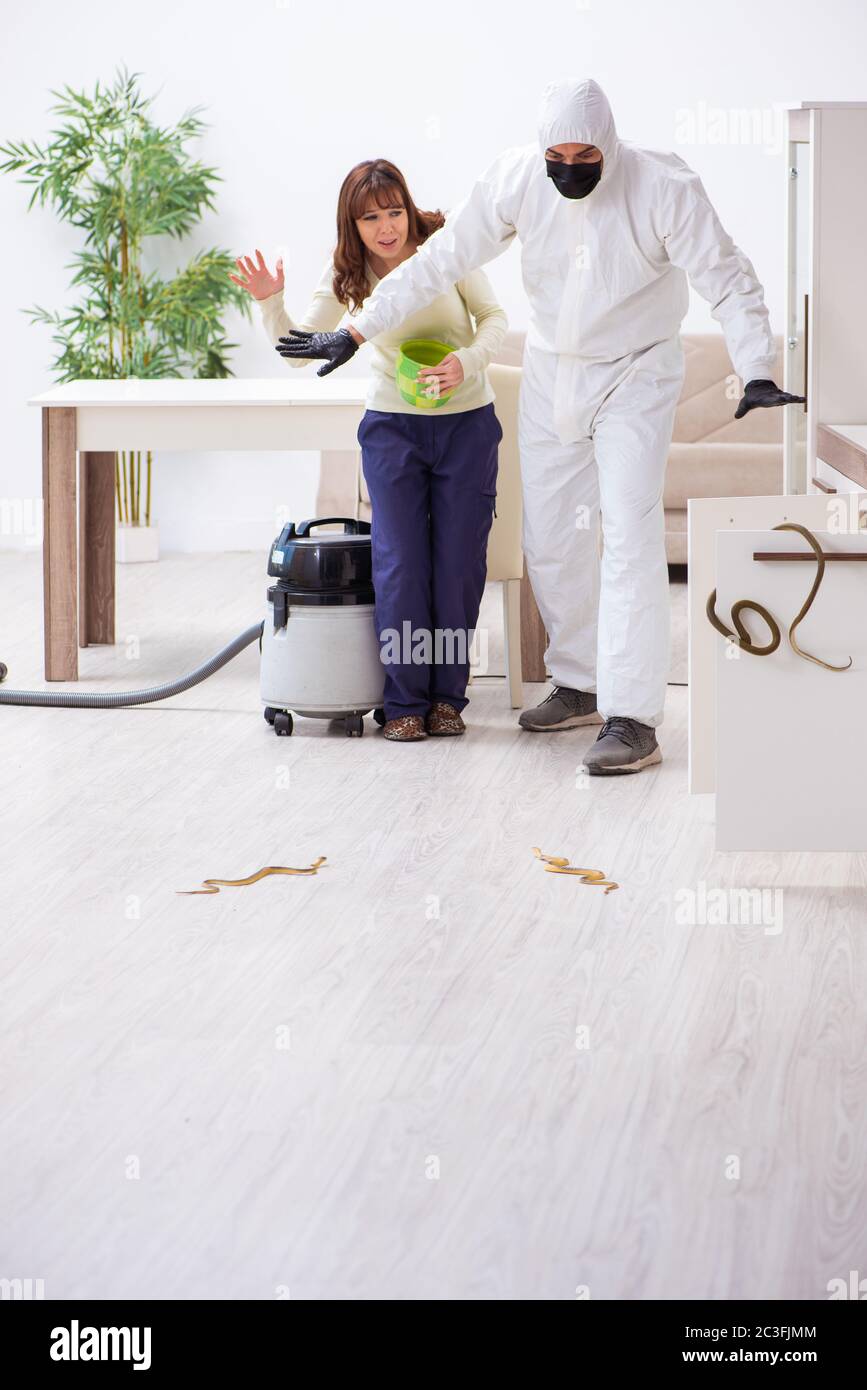 Exterminating hi-res stock photography and images - Alamy