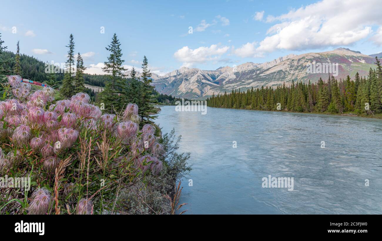 Japser city hi-res stock photography and images - Alamy